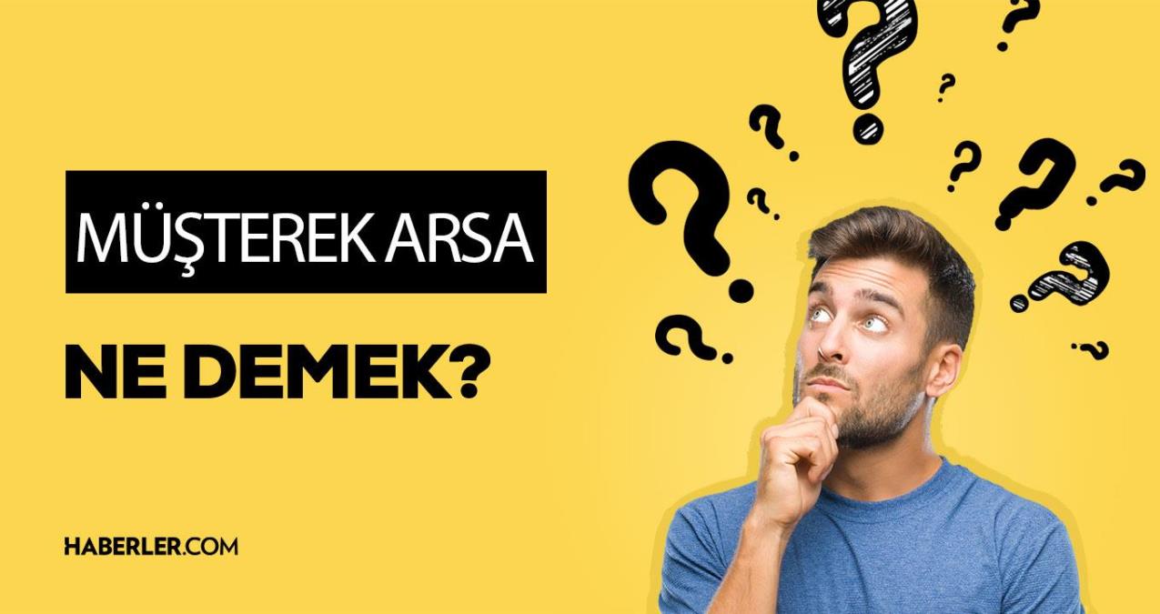 Müşterek arsa nedir? TOKİ müşterek arsa ne demek? Müşterek arsa kaç ...